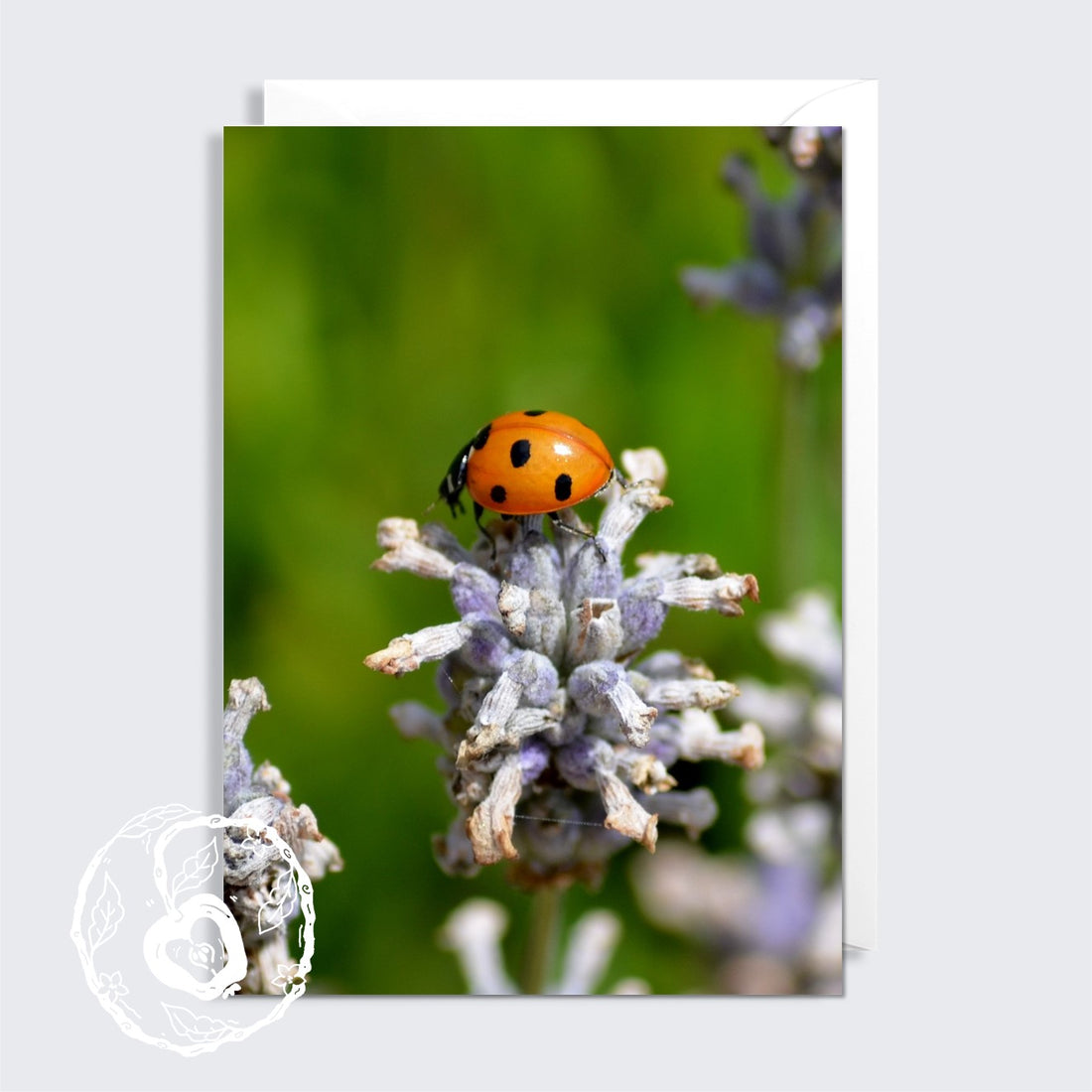 Ladybird - Greetings Card – Tina Williams